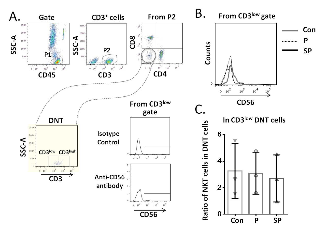 Elevated CD3low double negative T lymphocyte is associated with ...