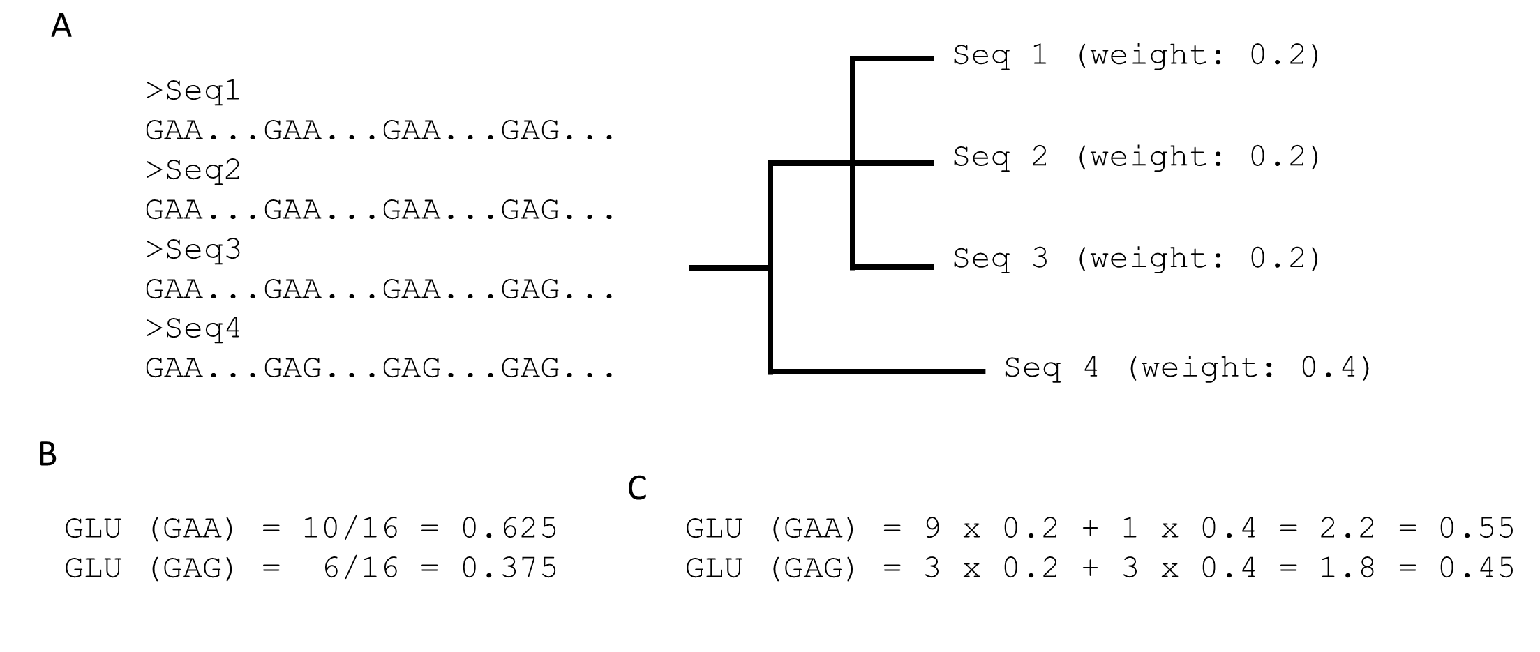 cRegions—a tool for detecting conserved cis-elements in multiple sequence alignment of diverged ...