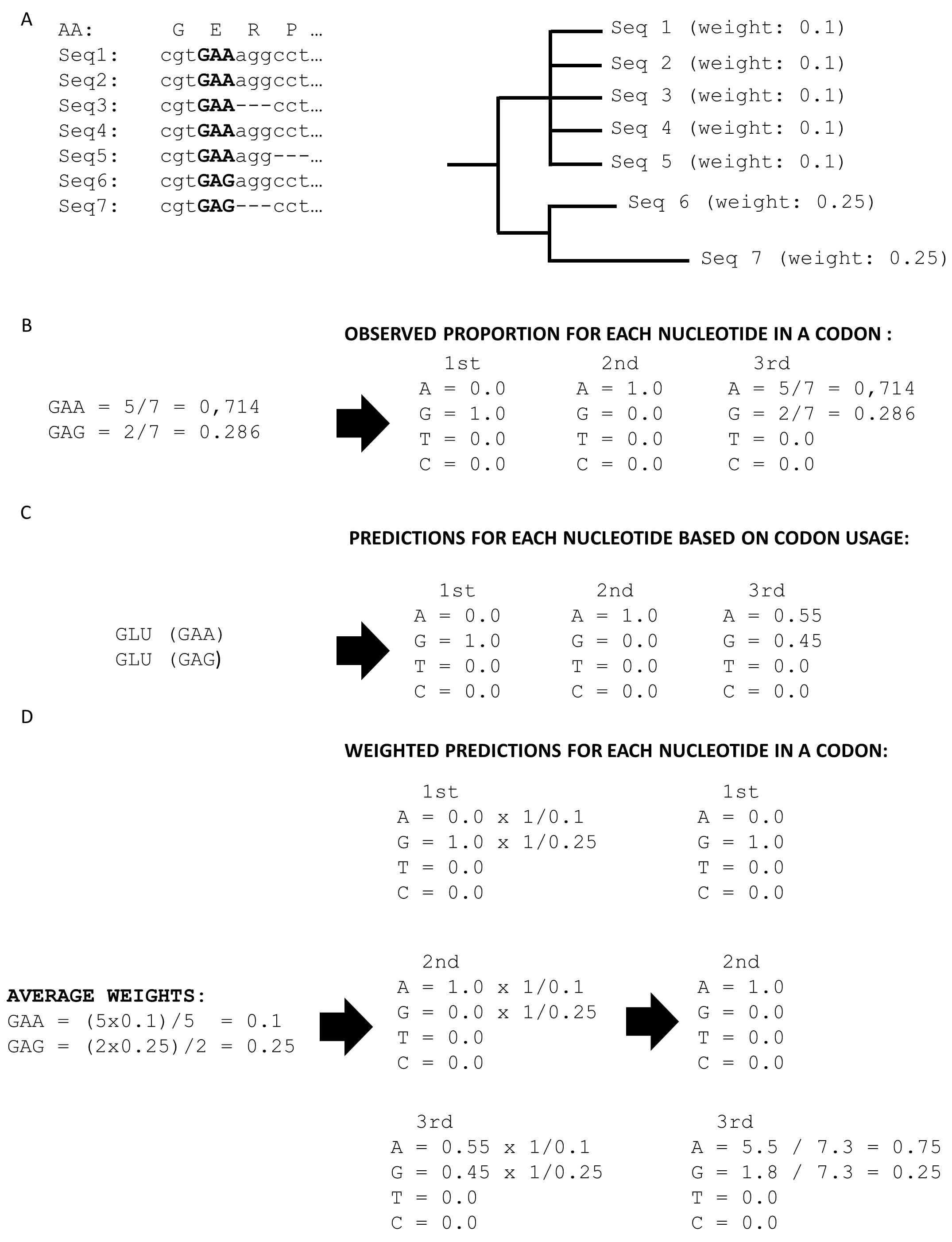 cRegions—a tool for detecting conserved cis-elements in multiple sequence alignment of diverged ...