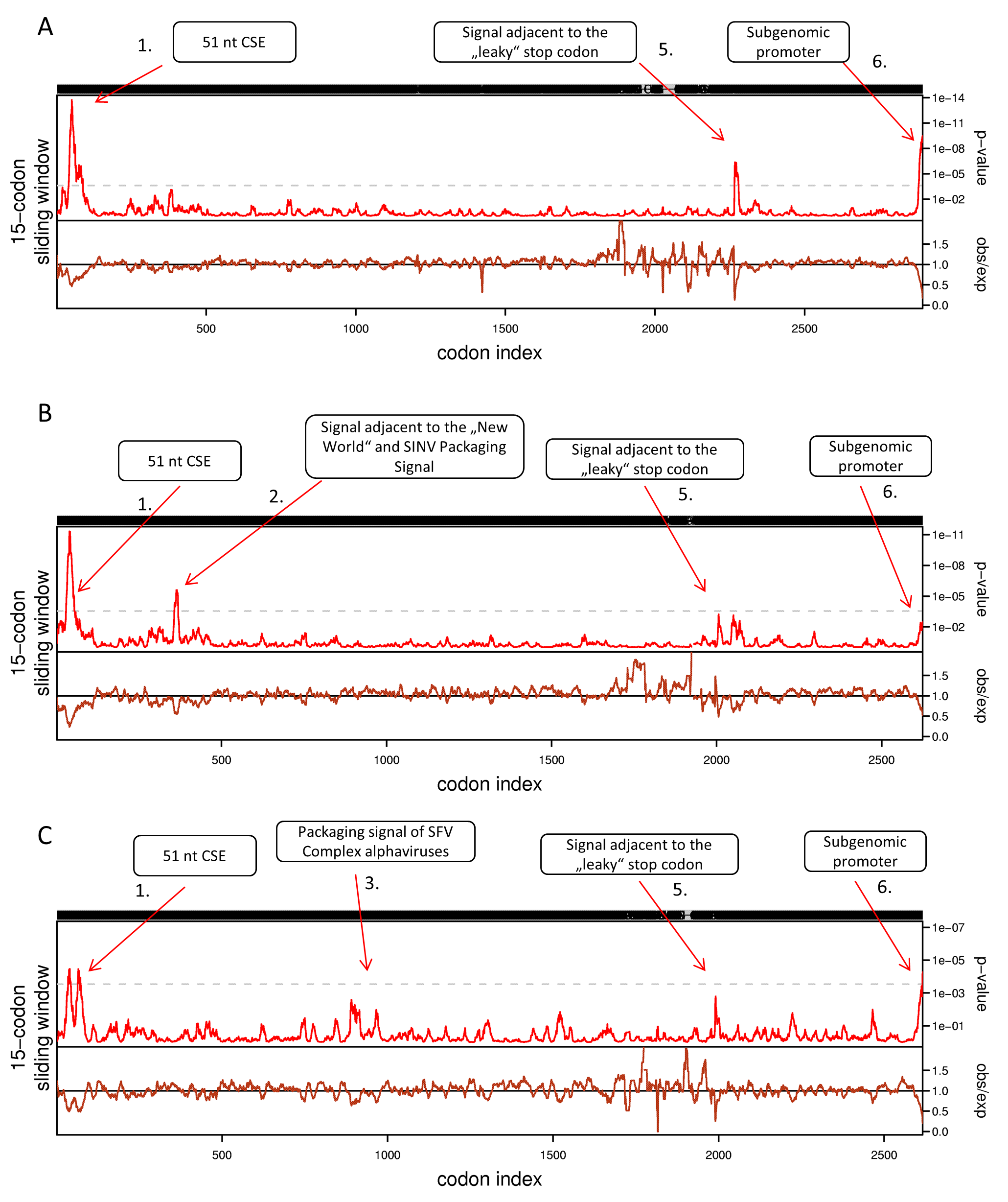 cRegions—a tool for detecting conserved cis-elements in multiple sequence alignment of diverged ...