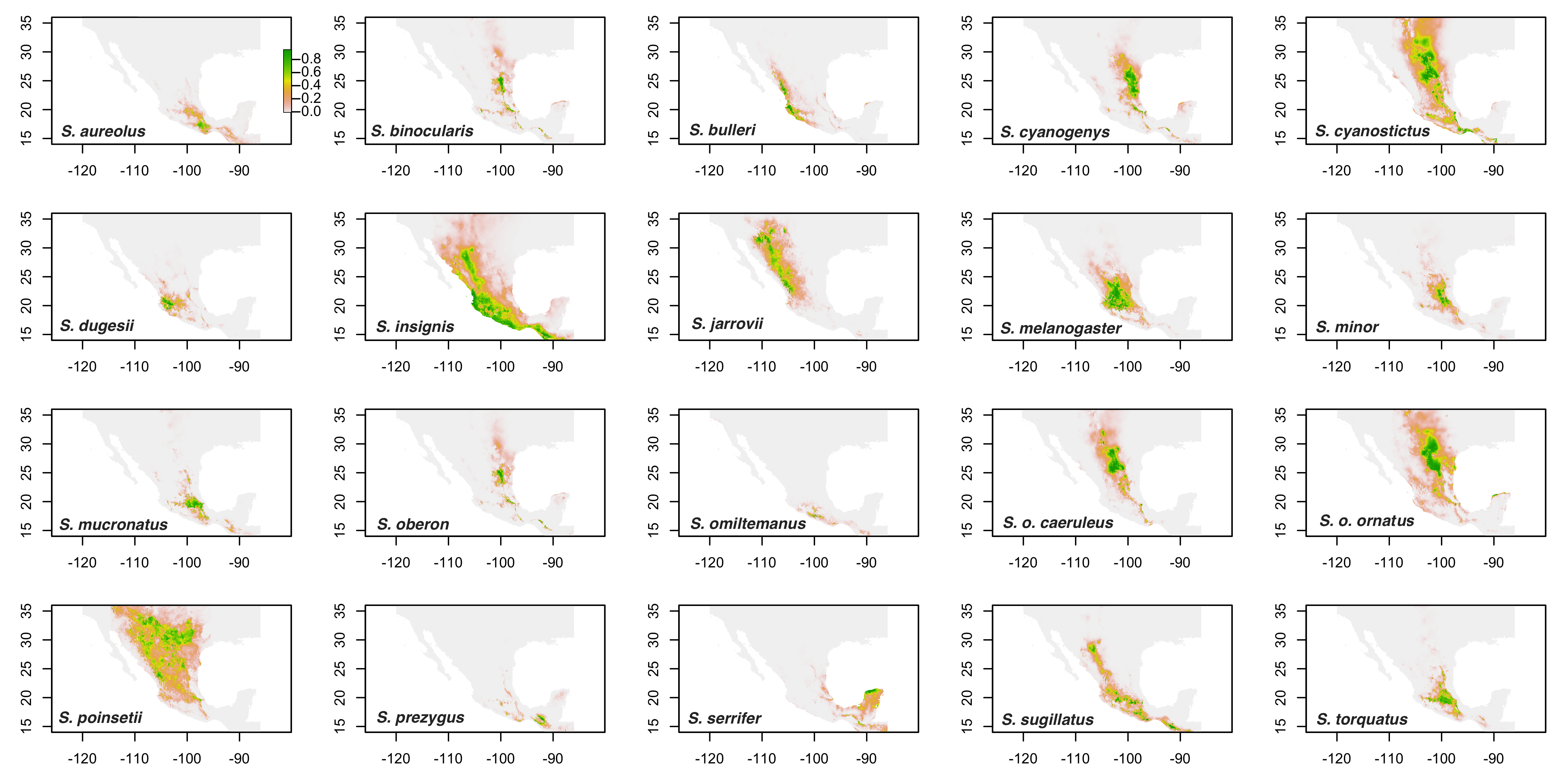 Climatic niche evolution in the viviparous Sceloporus torquatus group ...
