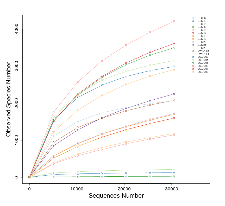 Identification of Austwickia chelonae as cause of cutaneous granuloma ...