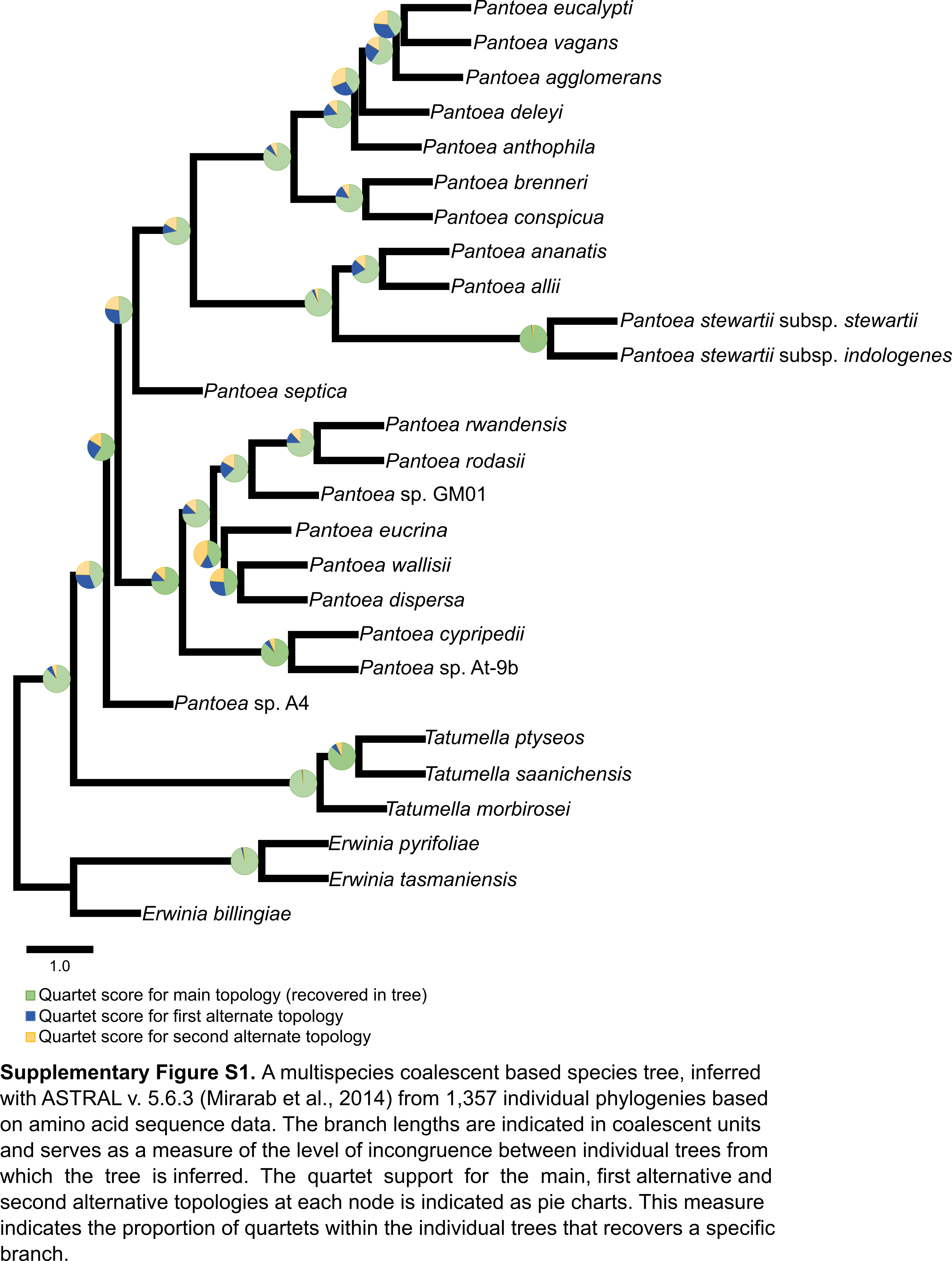 The synergistic effect of concatenation in phylogenomics: the case in Pantoea [PeerJ]