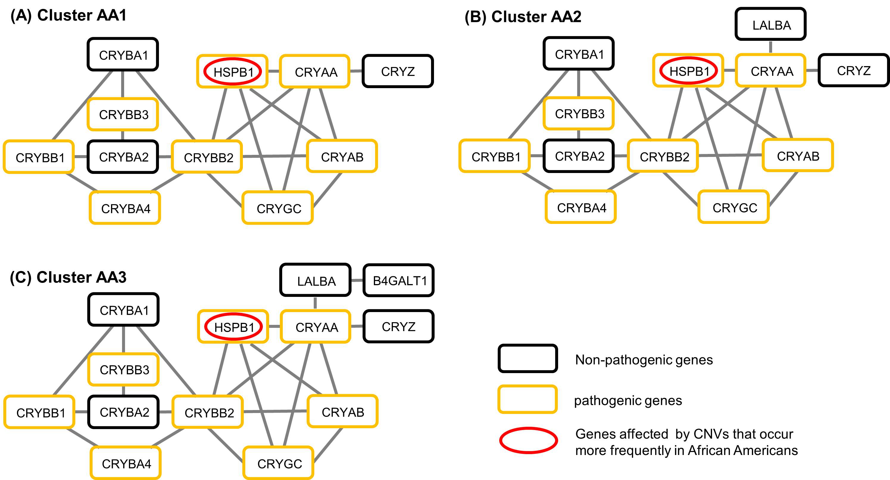 Using network clustering to predict copy number variations associated with health disparities ...