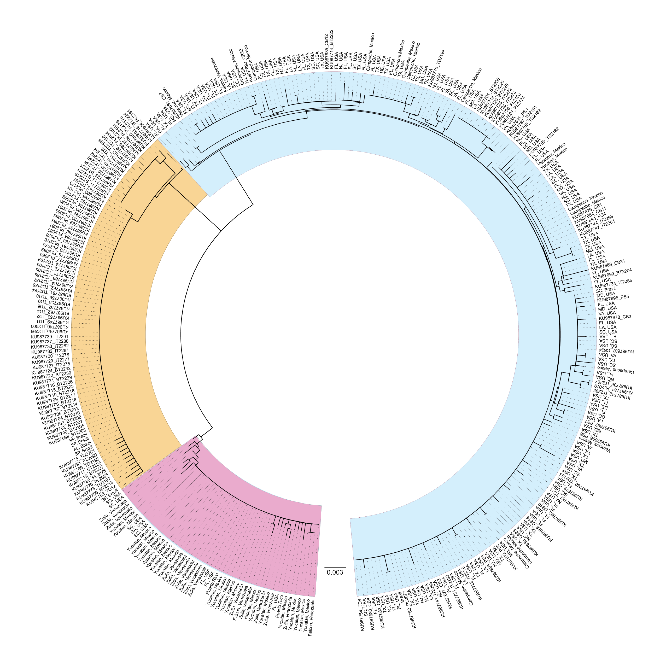 Evaluation of variation within the barcode region of Cytochrome c ...