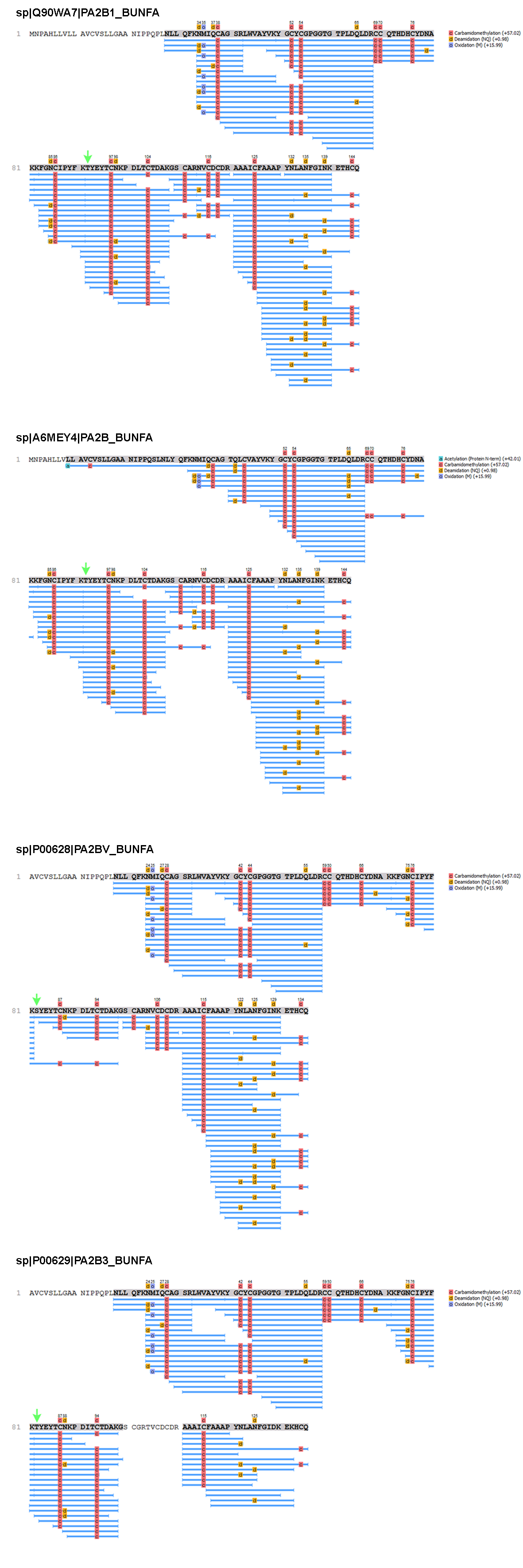 Phospholipase A2 from krait Bungarus fasciatus venom induces human ...