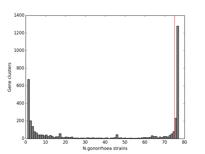 Population structure of Neisseria gonorrhoeae based on whole genome ...