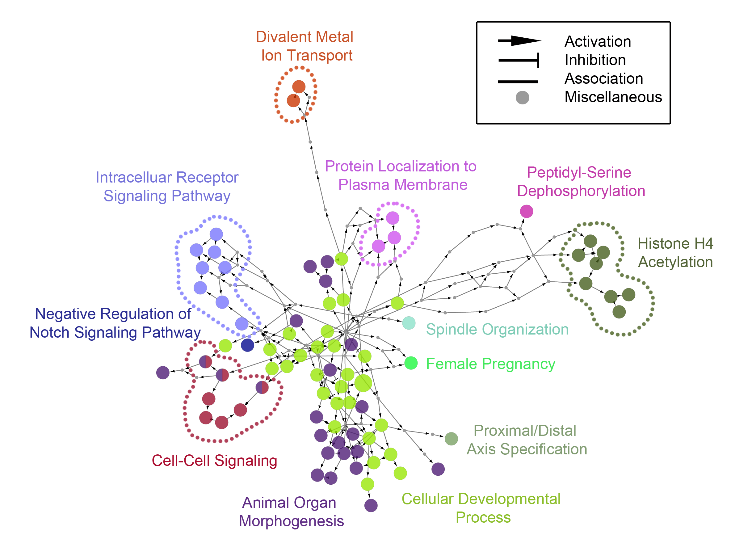 Detection and characterization of microRNA expression profiling and its target genes in response ...