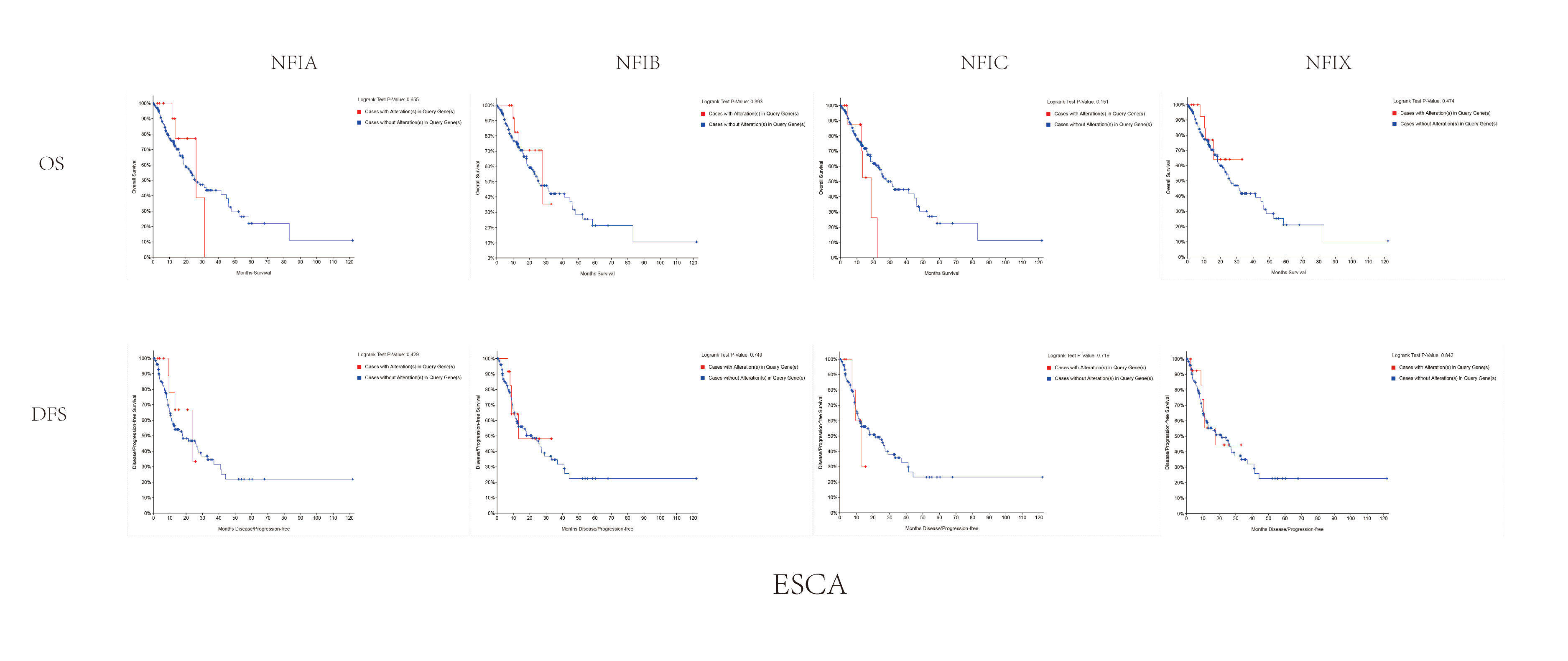 Transcription levels and prognostic significance of the NFI family ...