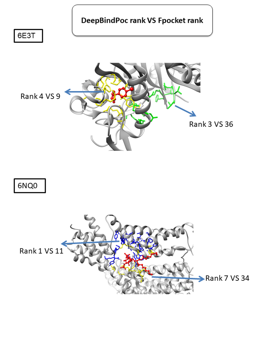 DeepBindPoc: a deep learning method to rank ligand binding pockets ...