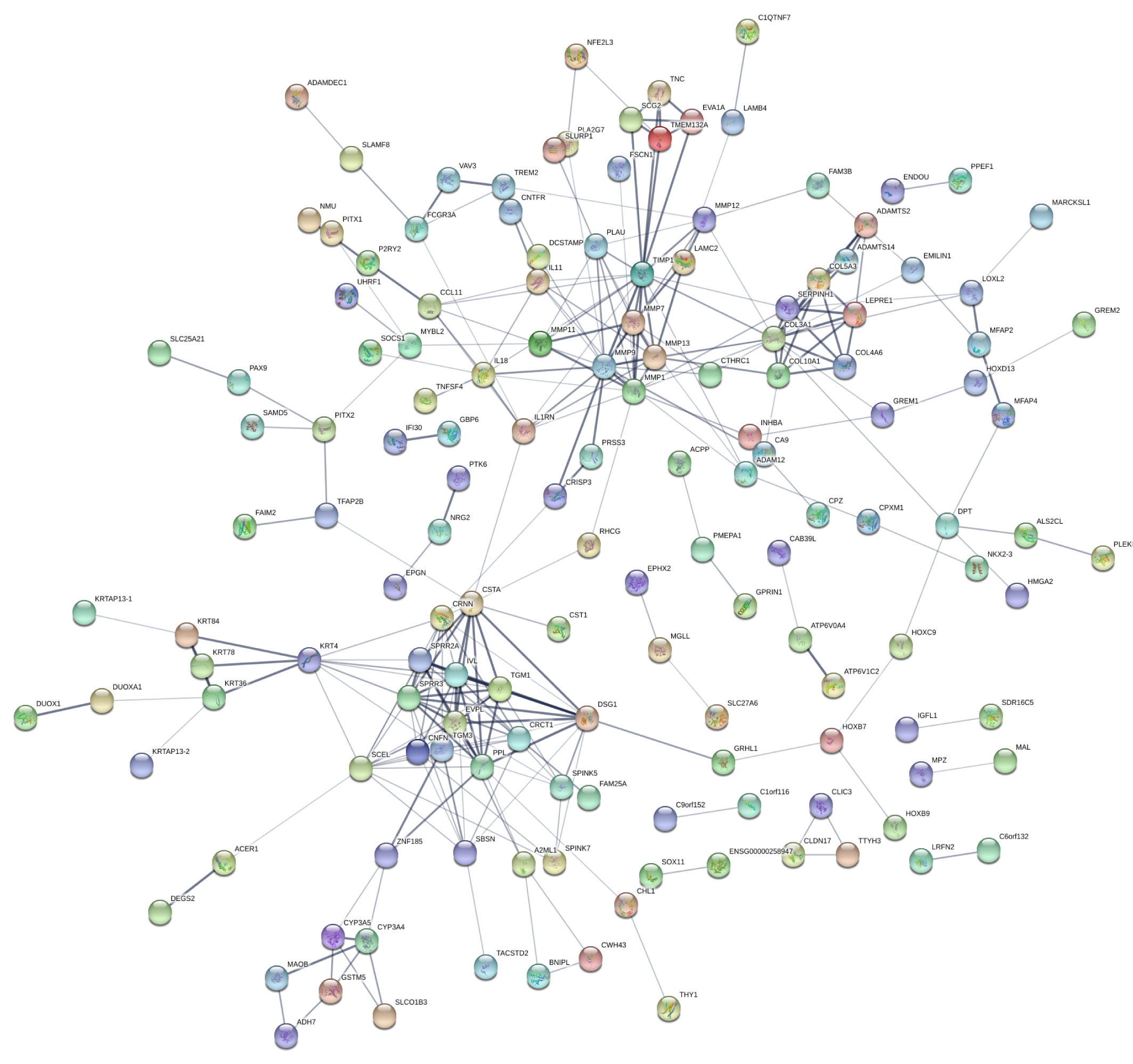 Identification of SPRR3 as a novel diagnostic/prognostic biomarker for ...