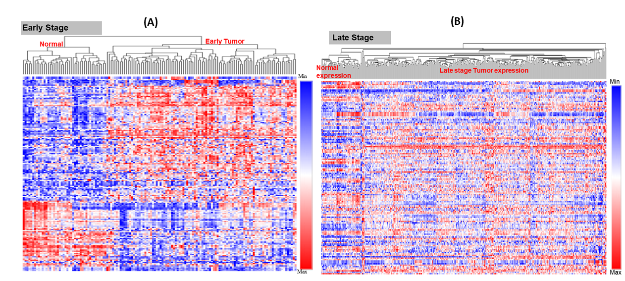 Predictive models for stage and risk classification in head and neck ...