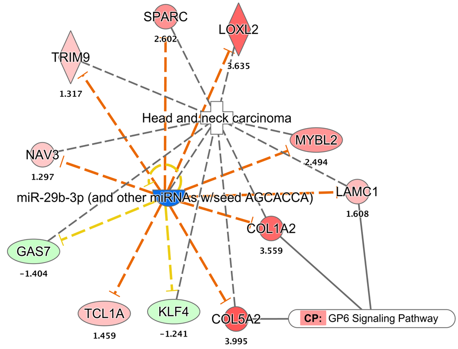 Predictive models for stage and risk classification in head and neck ...