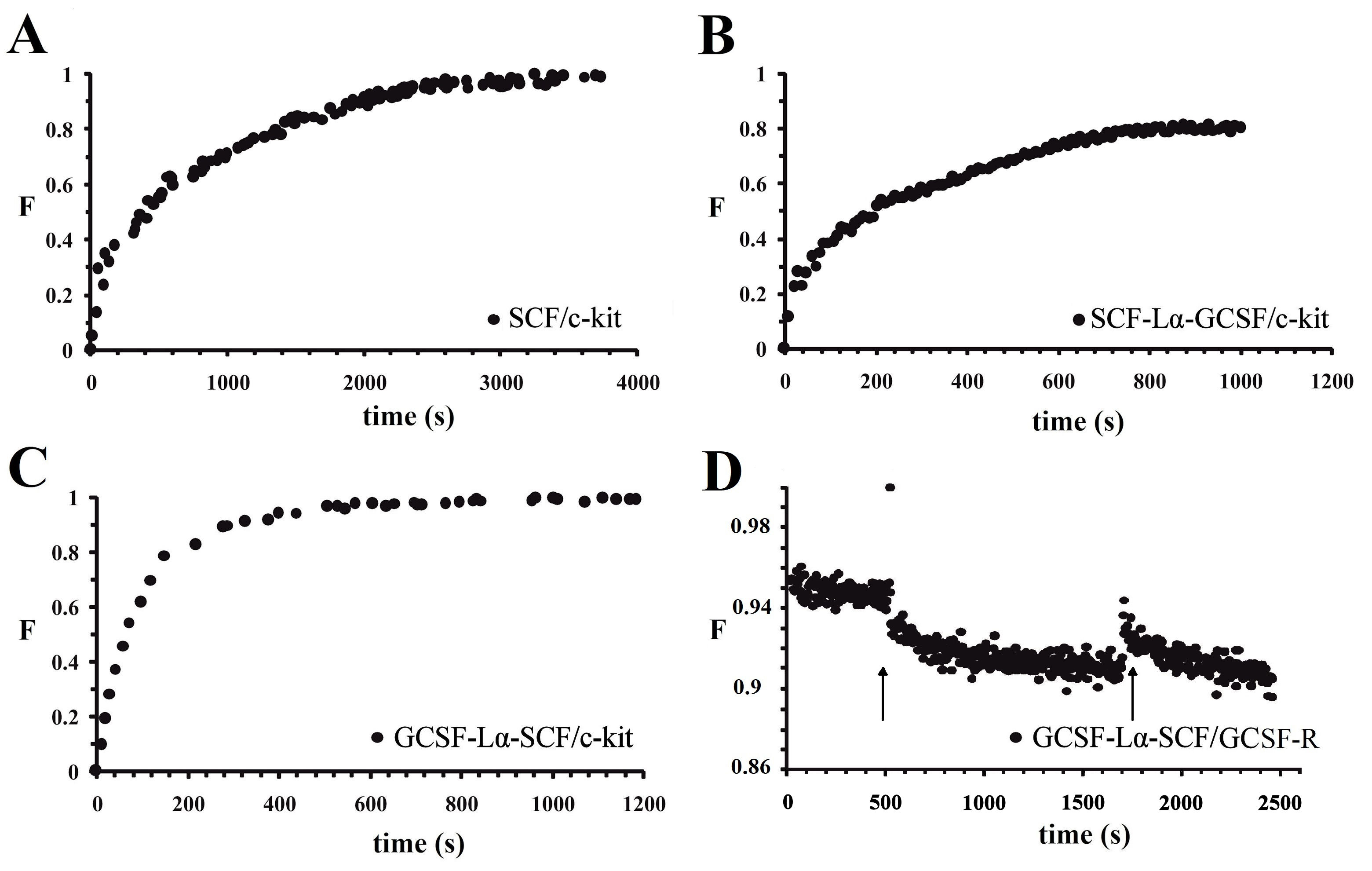 Human granulocyte-colony stimulating factor (G-CSF)/stem cell factor ...