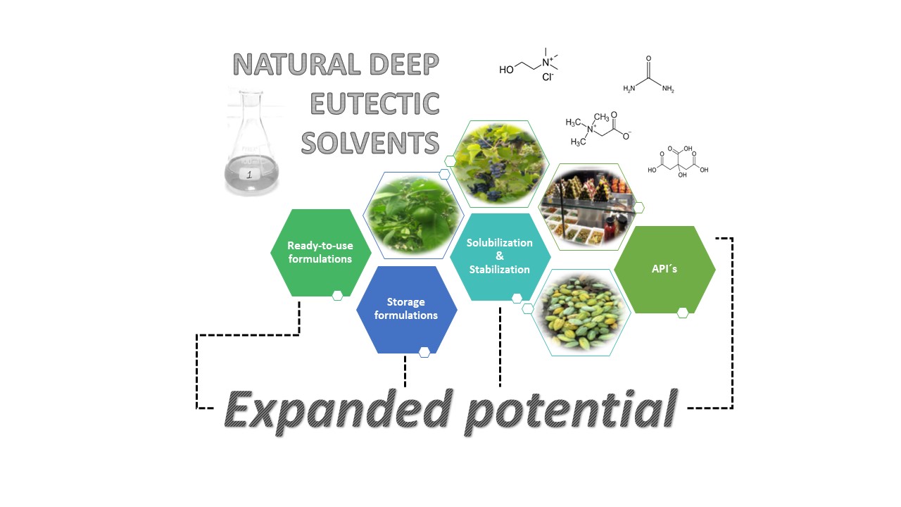 Exploring the potential of deep eutectic solvents (DES) in bioactive ...