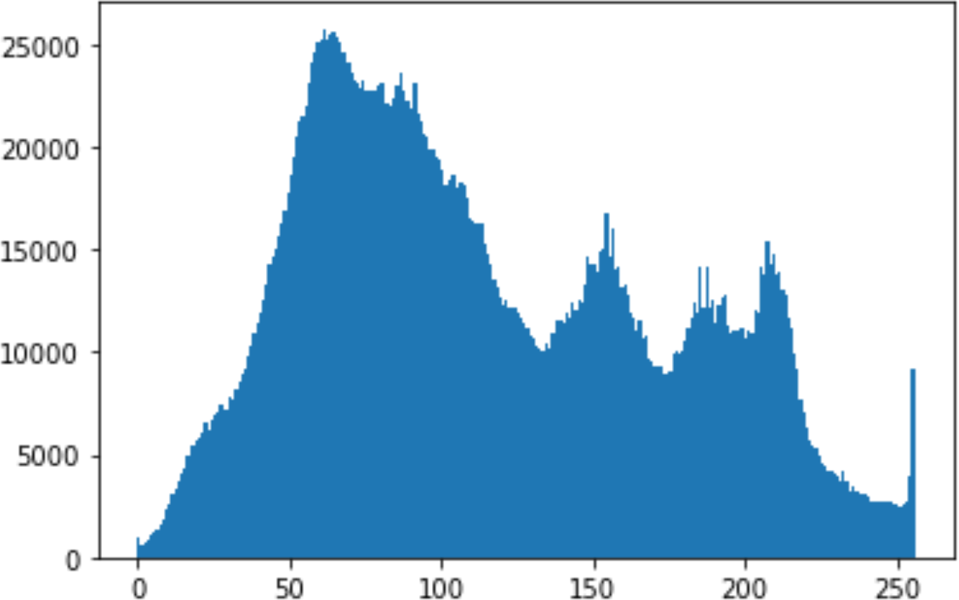 Double layer steganography technique using DNA sequences and images [PeerJ]
