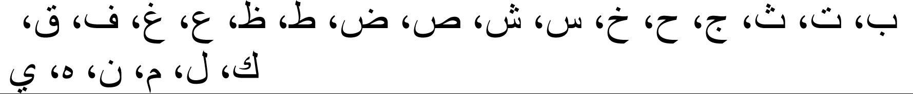 A novel approach to secure communication in mega events through Arabic ...