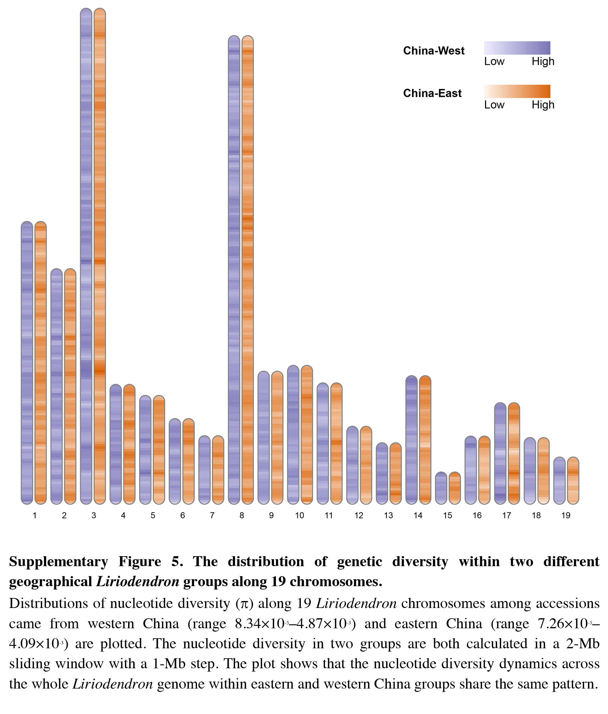 RIdeogram: drawing SVG graphics to visualize and map genome-wide data ...