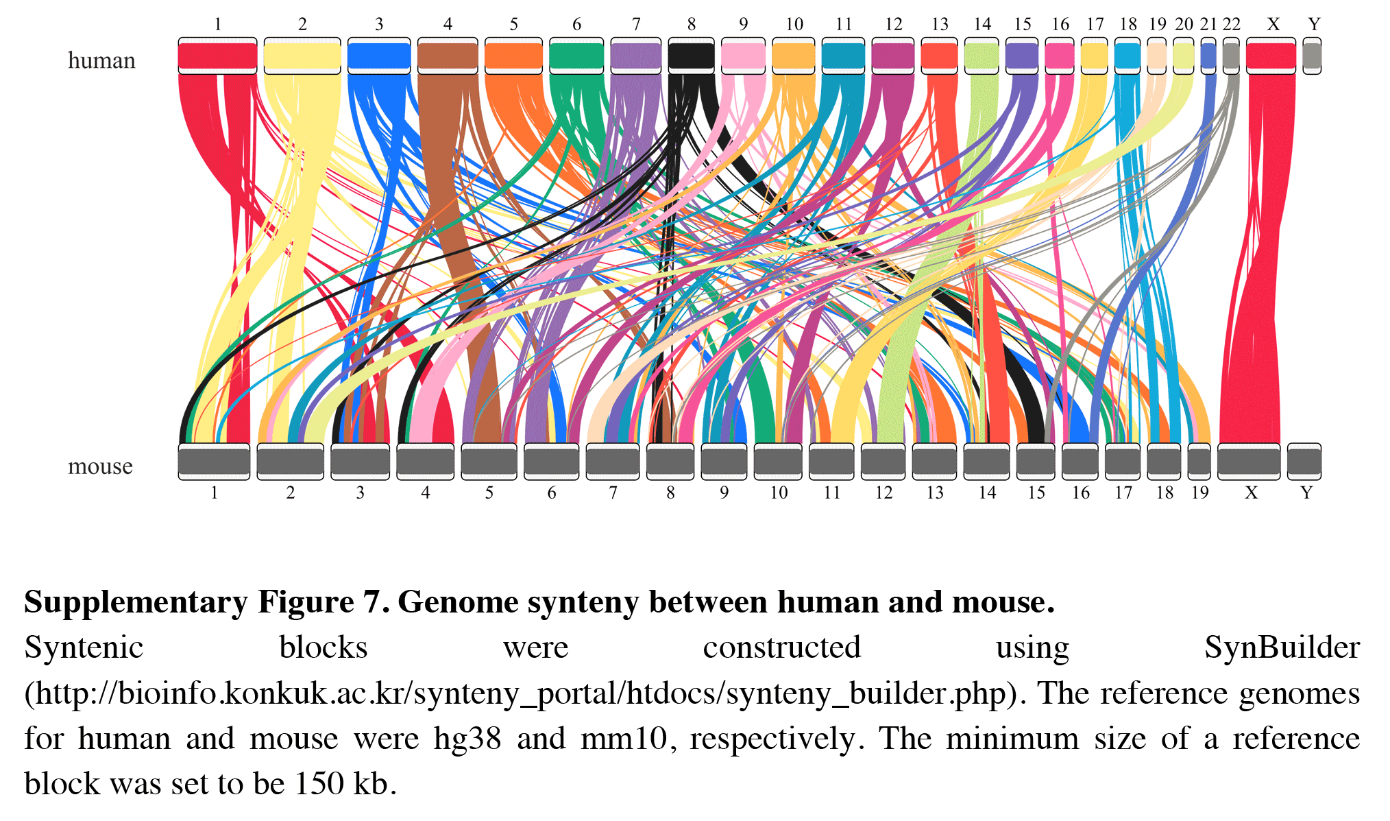 RIdeogram: drawing SVG graphics to visualize and map genome-wide data ...