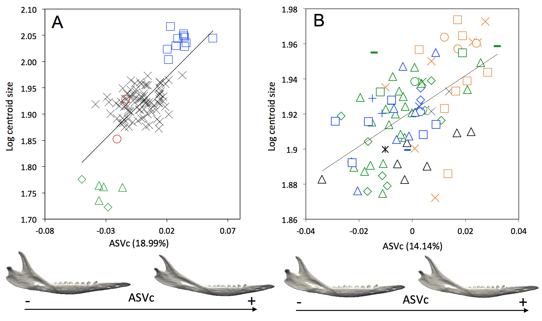 Beyond the carapace: skull shape variation and morphological systematics of long-nosed ...